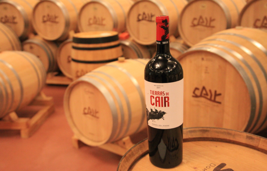 杜埃罗河绝代双骄：Rueda和Ribera del Duero 产区探索-知味葡萄酒